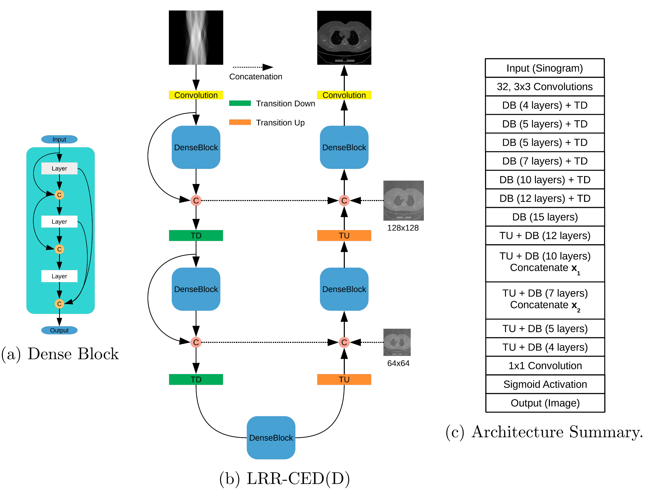 LRR-CED low-resolution reconstruction-aware convolutional encoder ...